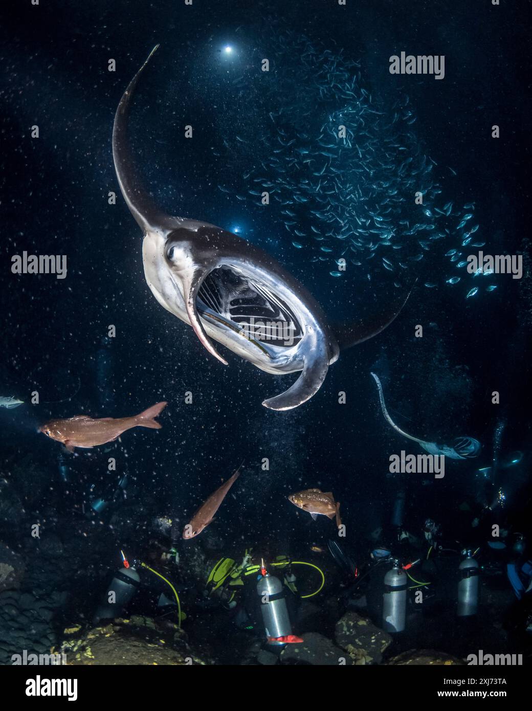 Lights underwater diver hi-res stock photography and images - Alamy