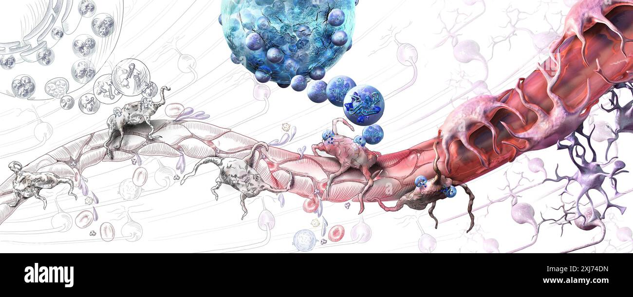 Illustration of the treatment of diabetic macula oedema (DMO) with stem ...