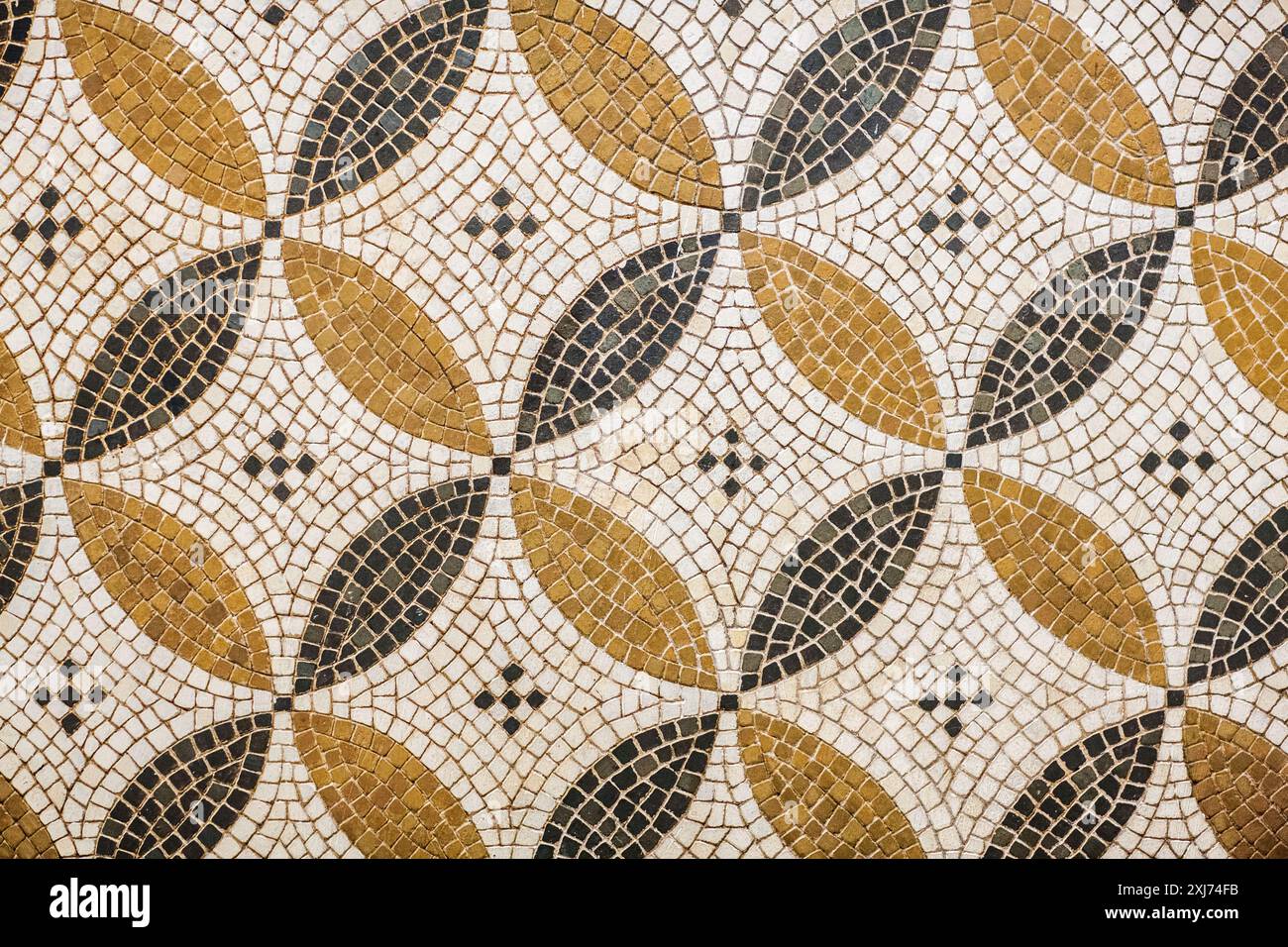 Close-up of a portion of the 3rd century CE Roman mosaic of the triumph ...