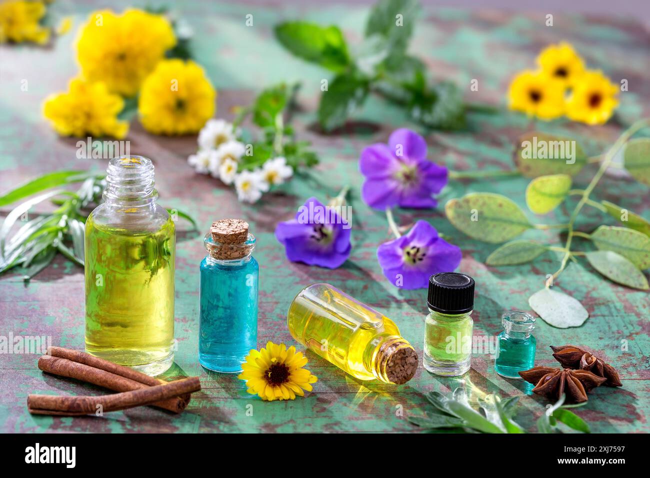 Bottle anise essential oil hi-res stock photography and images - Alamy