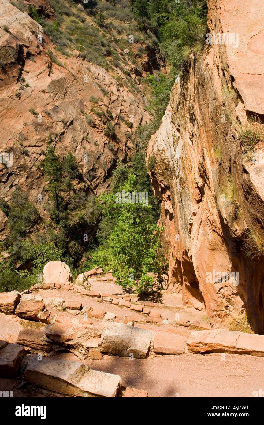 Walters wiggles hi-res stock photography and images - Alamy