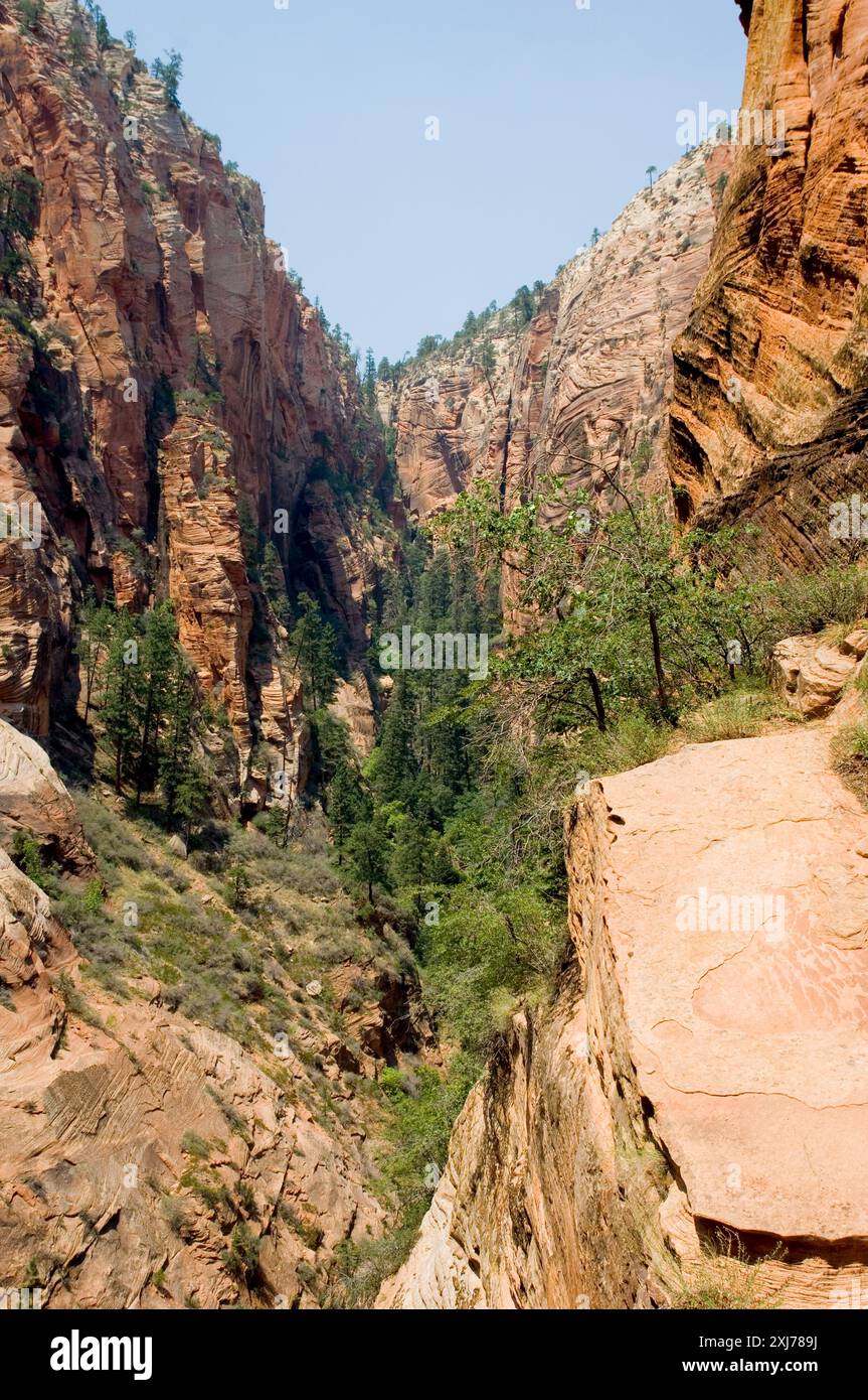 ANGELS LANDING, ZION NATIONAL PARK, SPRINGDALE, UTAH, USA: Switchbacks ...