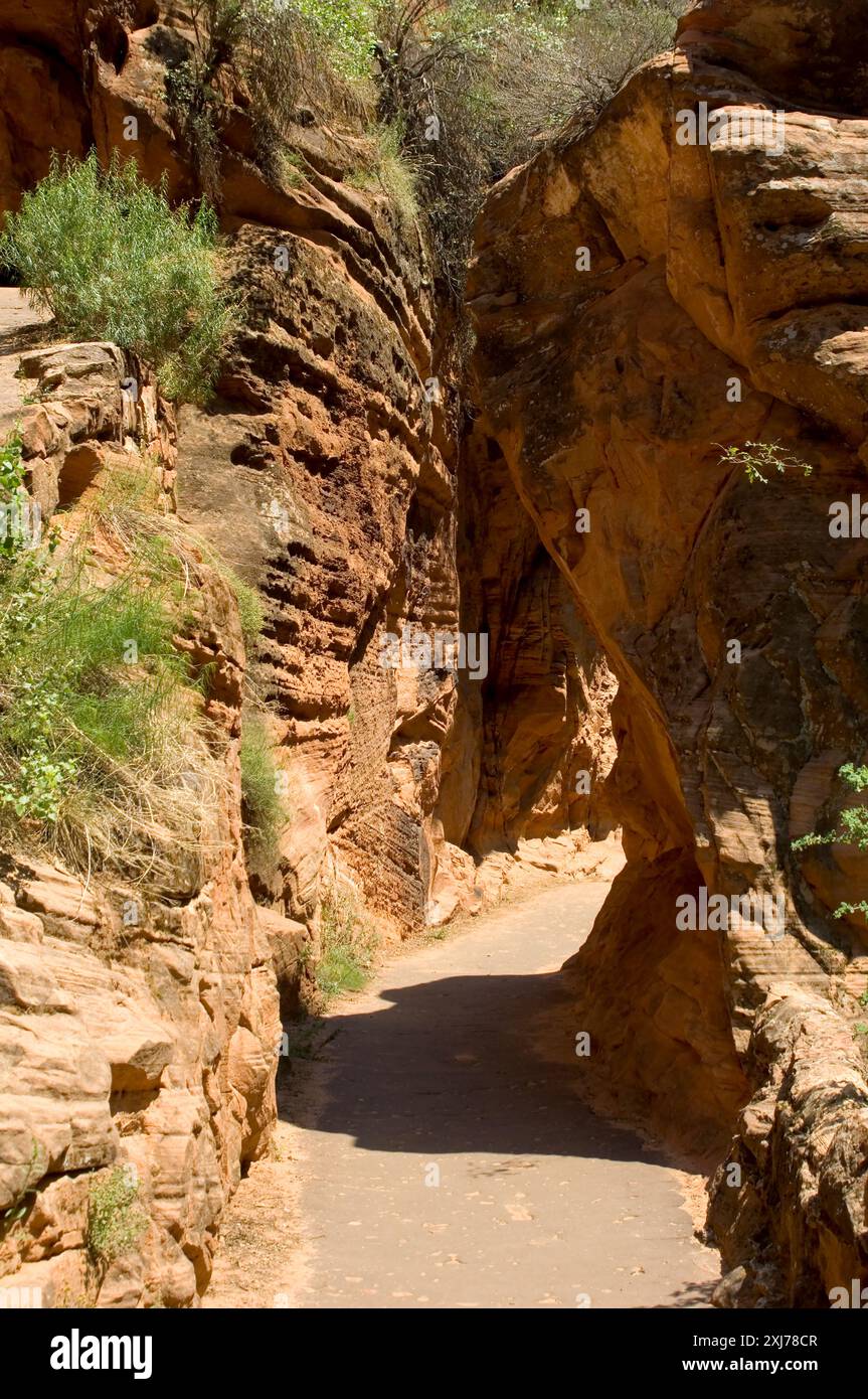 ANGELS LANDING, ZION NATIONAL PARK, SPRINGDALE, UTAH, USA: Switchbacks ...