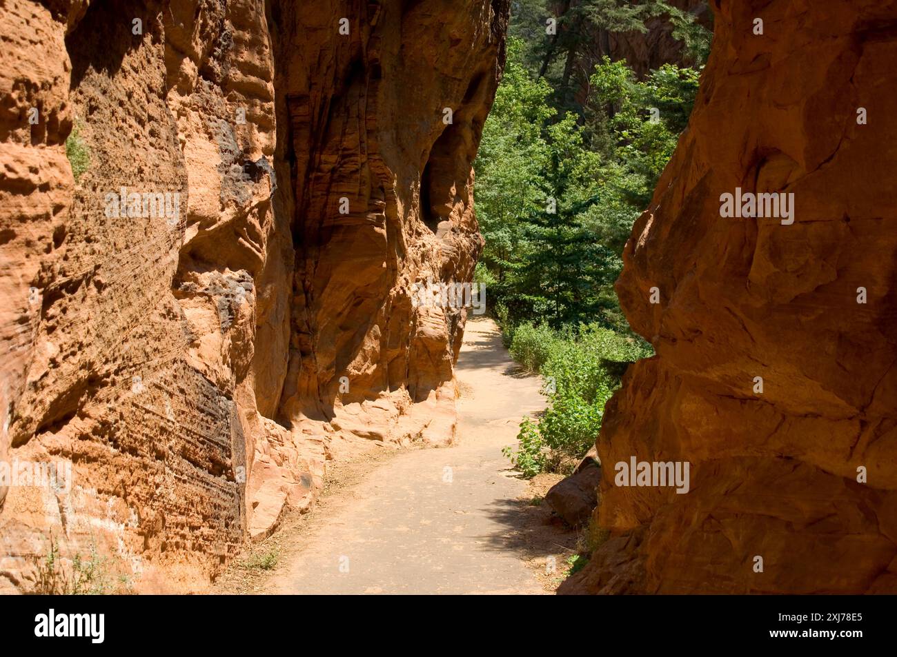 ANGELS LANDING, ZION NATIONAL PARK, SPRINGDALE, UTAH, USA: Switchbacks ...