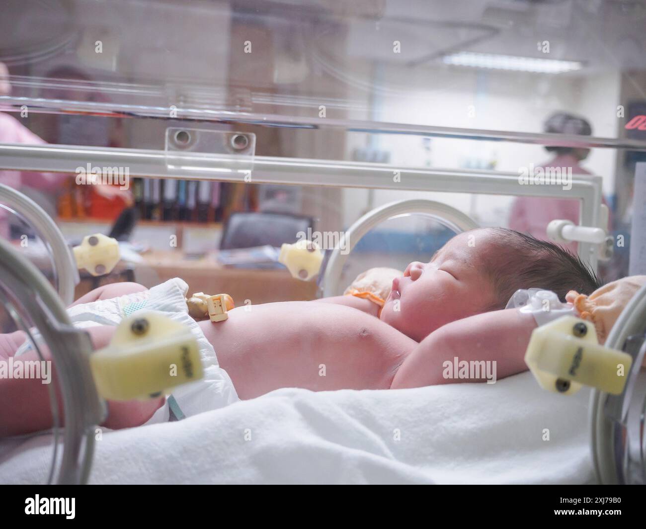 Newborn baby girl inside incubator in hospital post delivery room Stock ...