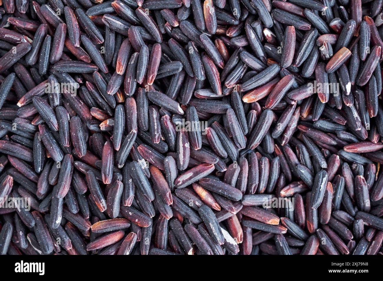 raw organic Thailand riceberry rice texture background Stock Photo - Alamy