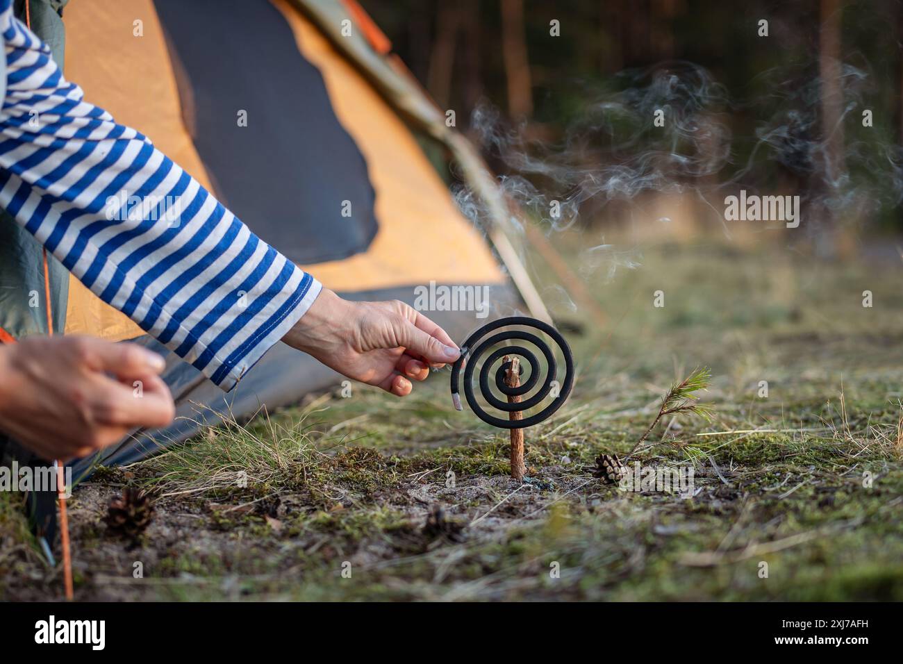 Woman installing burning mosquito repellent coil with smoke on dry tree ...