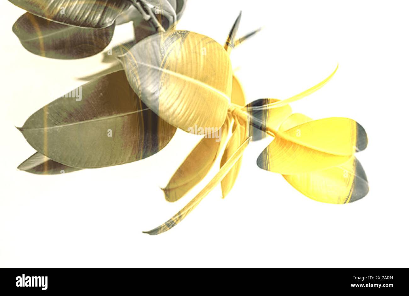 Fabric prints Cut Out Stock Images & Pictures - Alamy