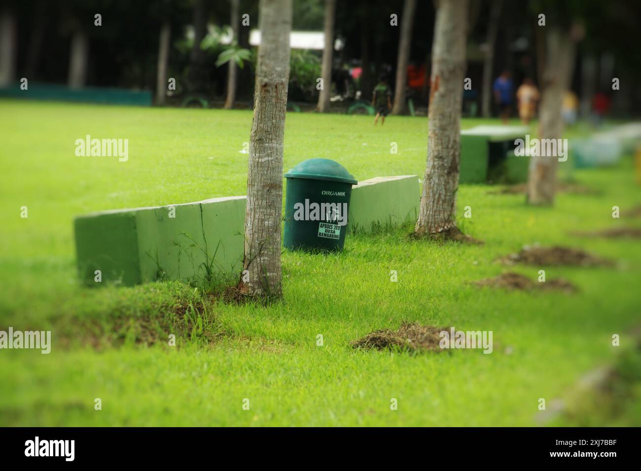 Trash cans in a park, a solution to commemorate World Environment Day ...