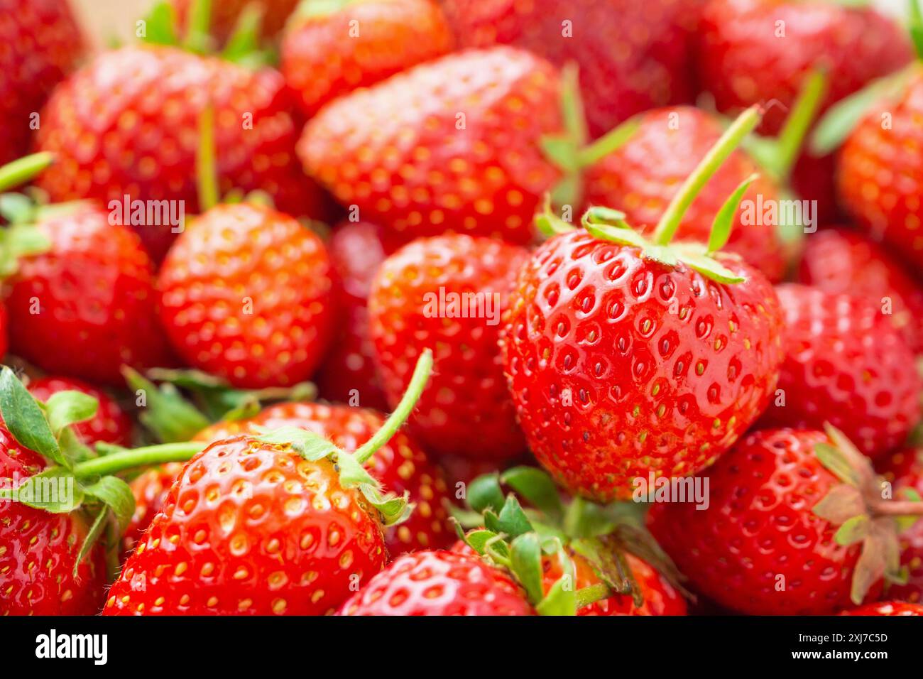 Fresh organic red ripe Strawberry fruit background closeup Stock Photo ...
