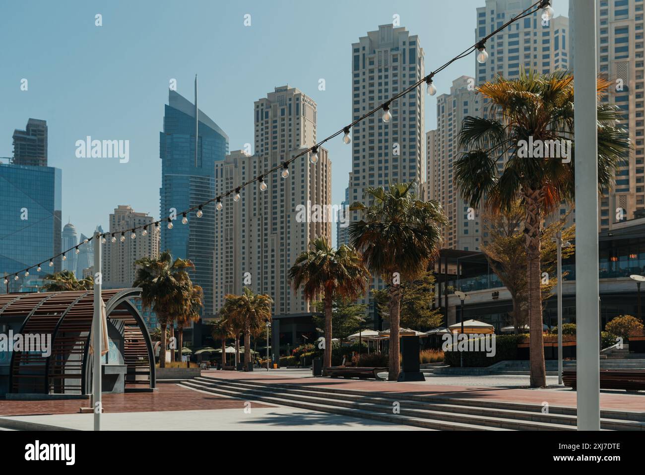 Modern skyscrapers and palm trees in urban city landscape Stock Photo ...