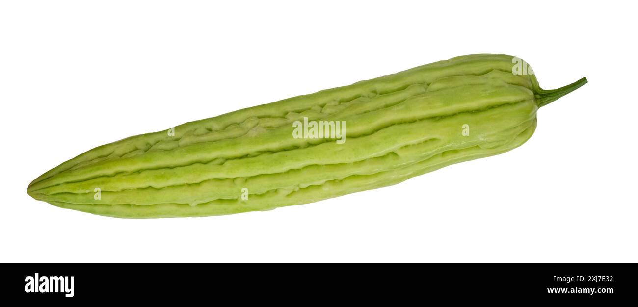 Bitter gourd isolated on white background with clipping path Stock ...