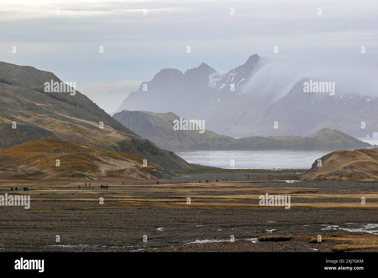 Hiking across Stromness, South Georgia, Wednesday, November 29, 2023 ...