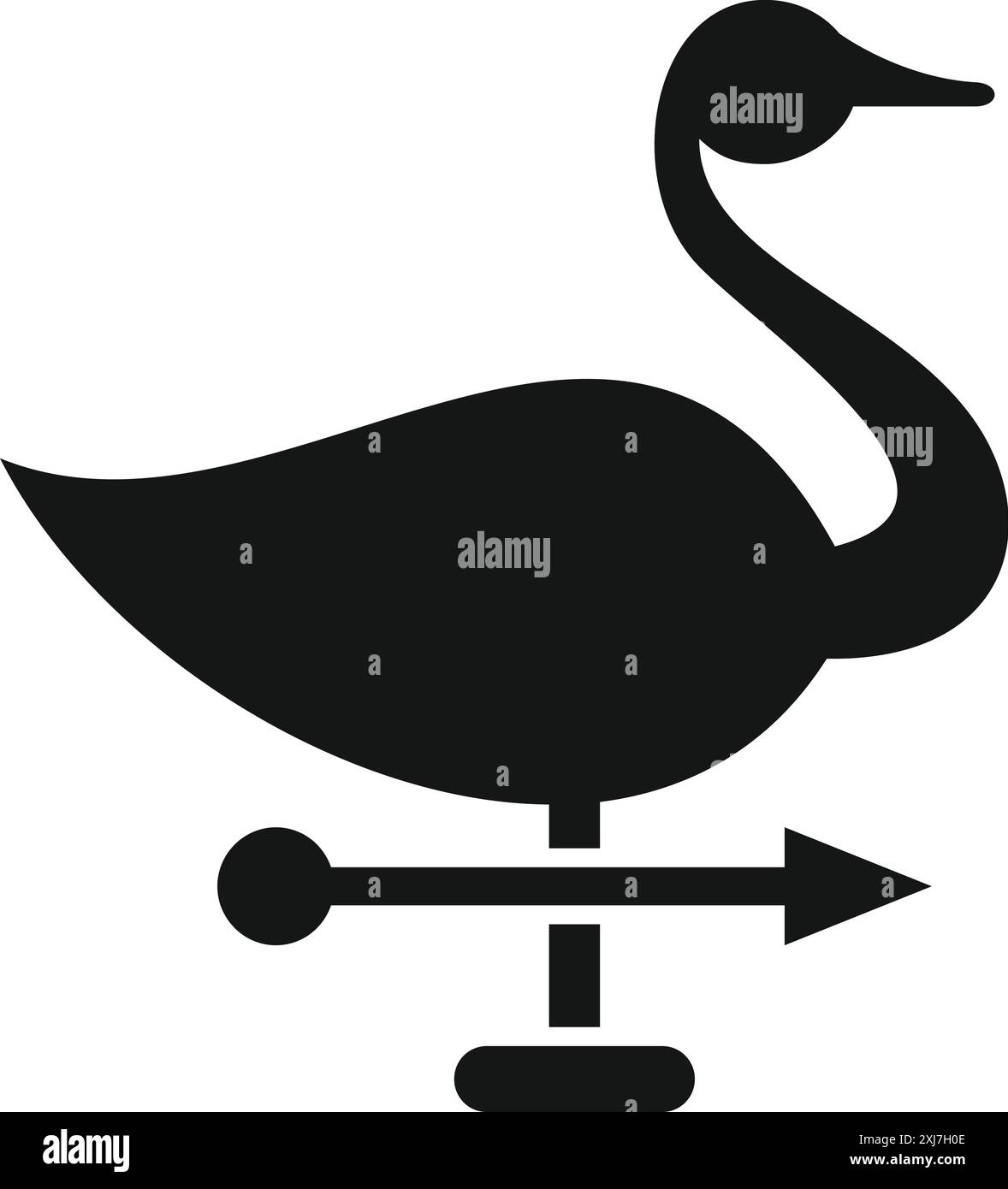 Swan measurement Cut Out Stock Images & Pictures - Alamy