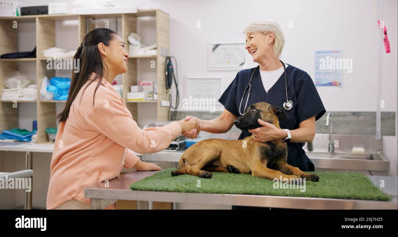 Veterinarian, handshake and woman with dog in clinic, happy and thank ...