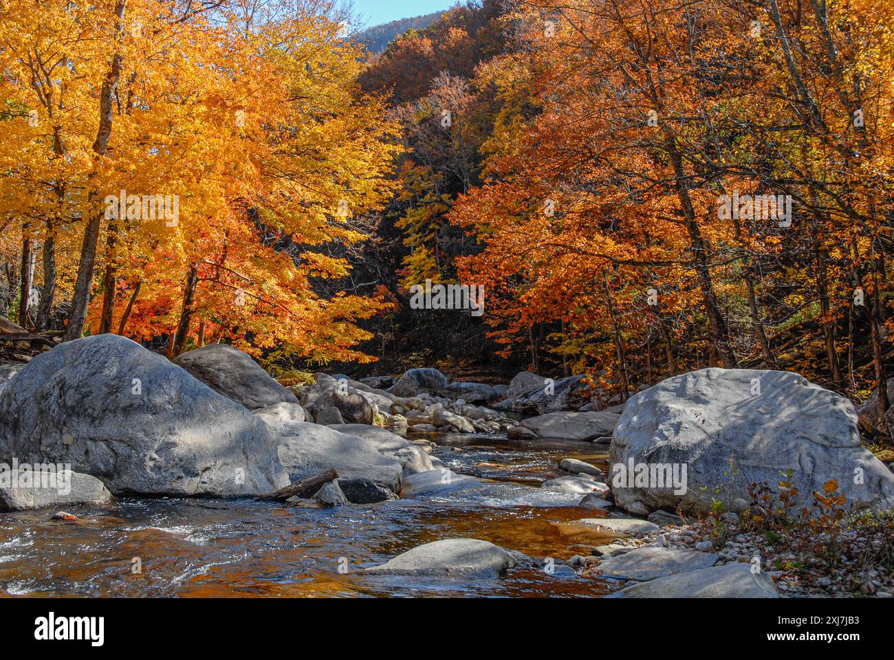 Autumn leaves and boulders along the Rocky Broad River near Chimney ...