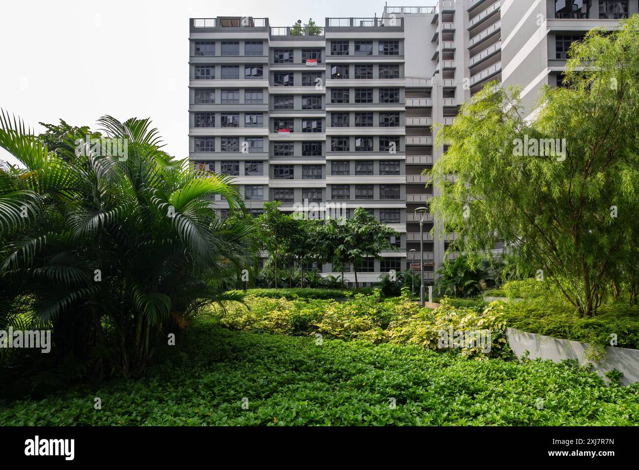 Landscaping of lush greenery design at public housing area. Estate is ...