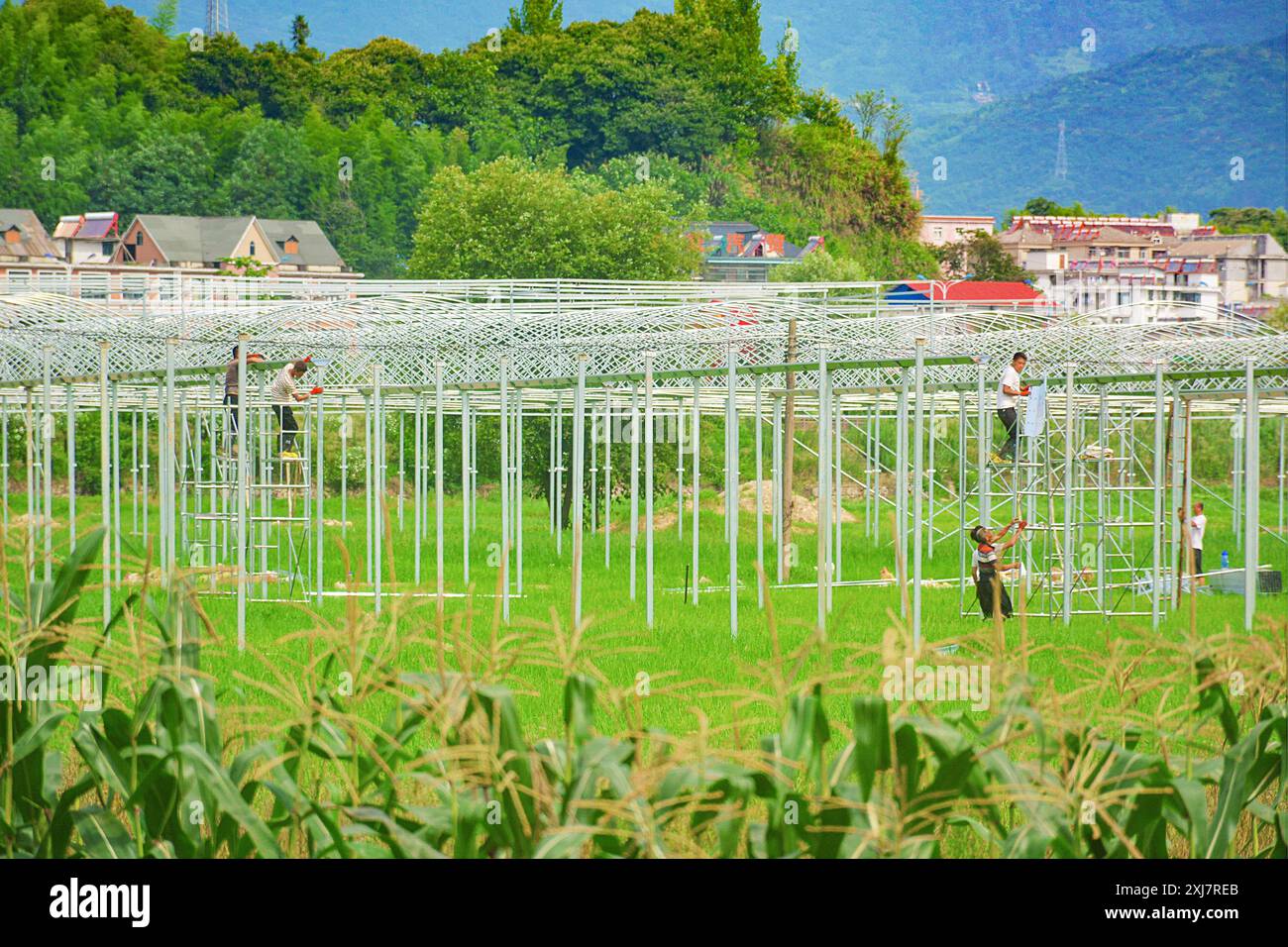 ANQING, CHINA - JULY 17, 2024 - Workers speed up construction of ...