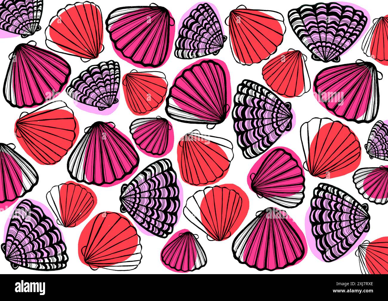 Pattern of seashells of different sizes. Drawing with black outline ...