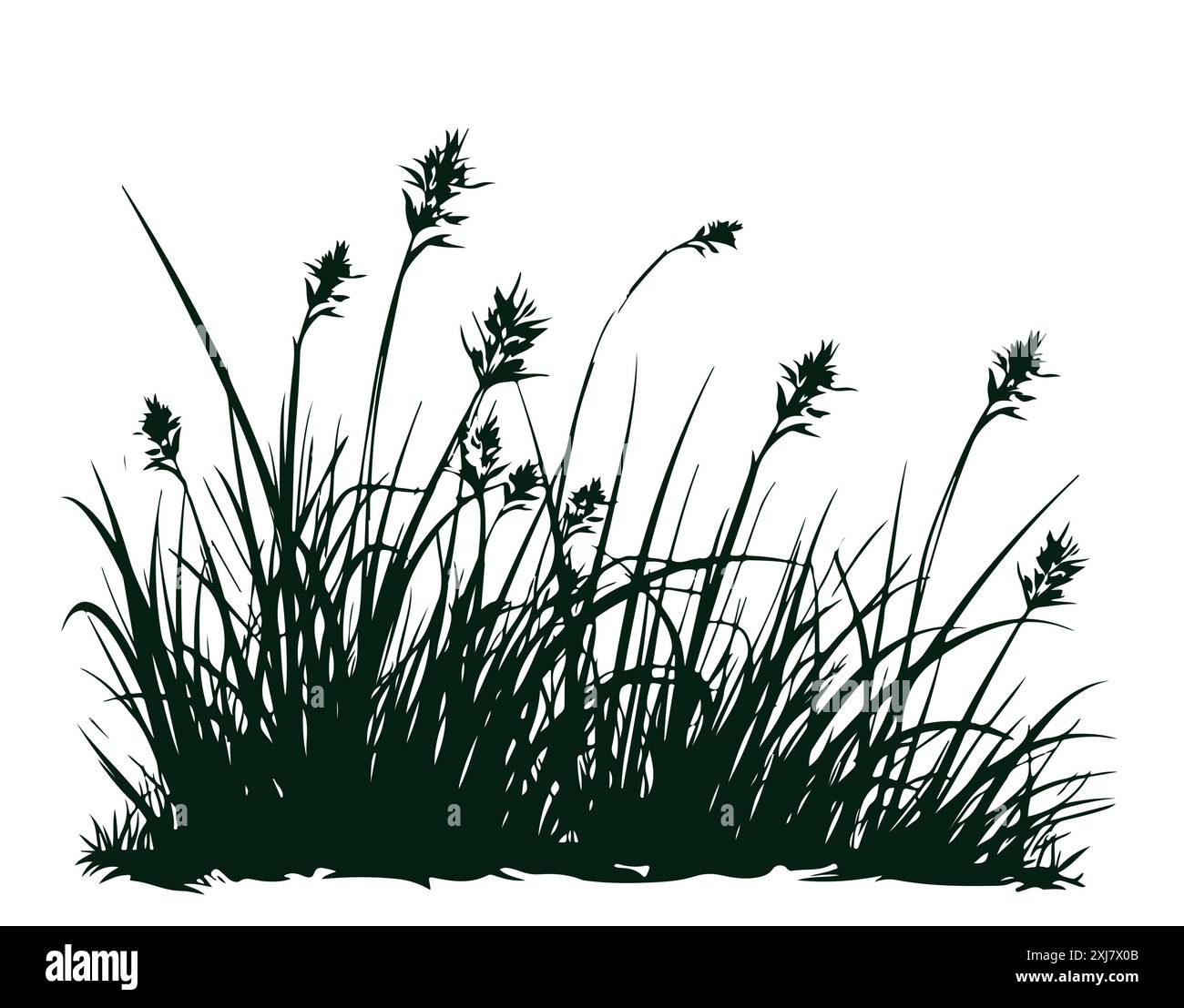 doodle grass illustration hand drawn style Stock Vector Image & Art - Alamy