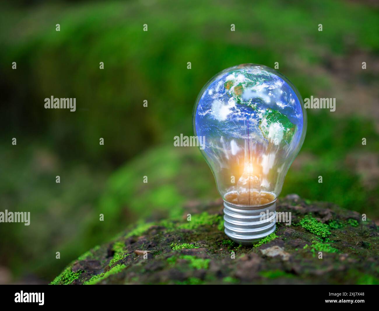 Light bulbs placed on the ground on a green natural background ...