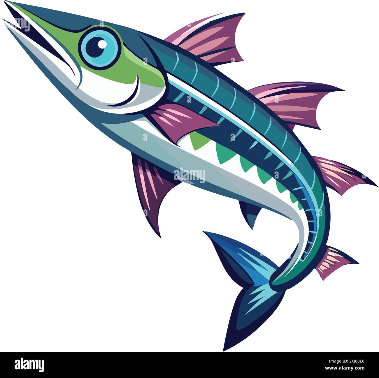 Barracuda fish vector image hi-res stock photography and images - Alamy