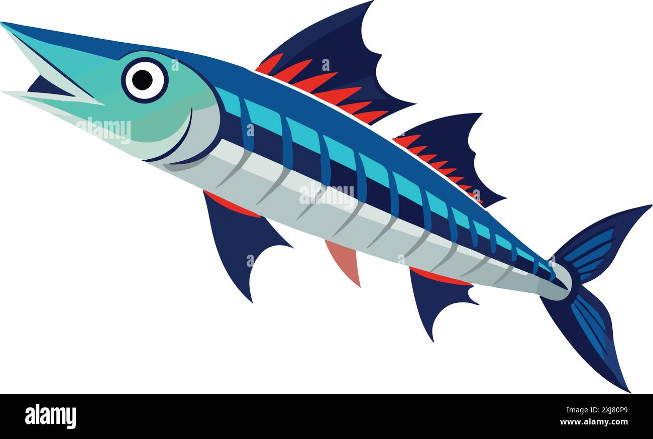 Barracuda fish vector image hi-res stock photography and images - Alamy