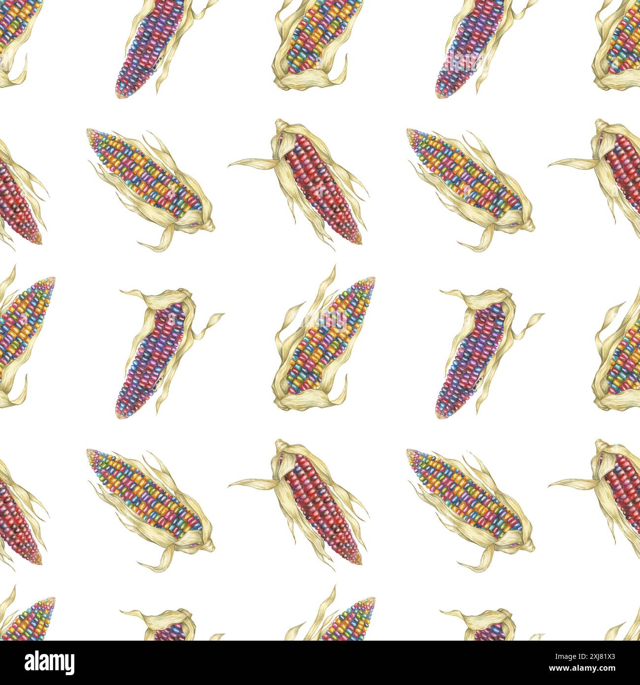 Heirloom Indian corn seamless pattern, rainbow cobs textile ...
