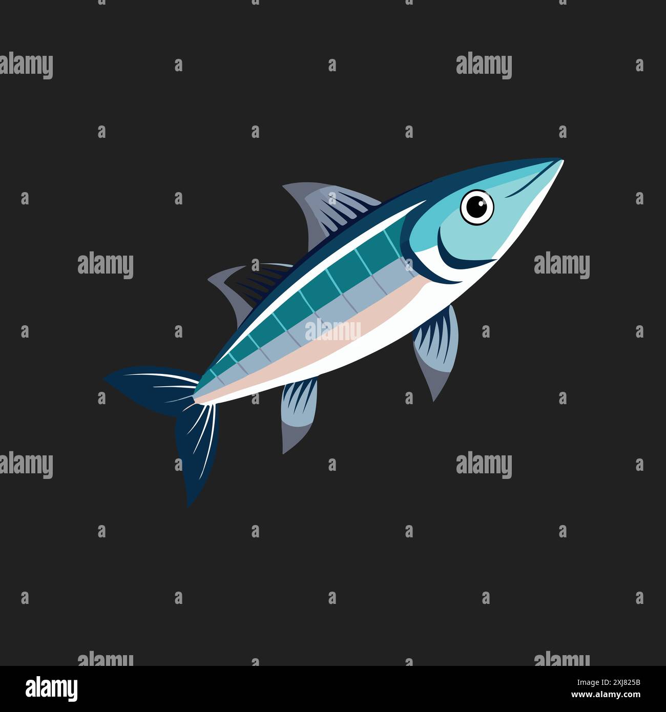 Anchovy fish illustration image hi-res stock photography and images - Alamy