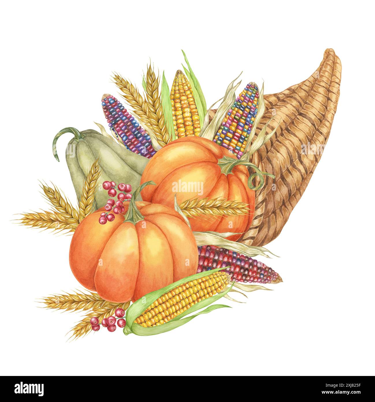 cornucopia clipart