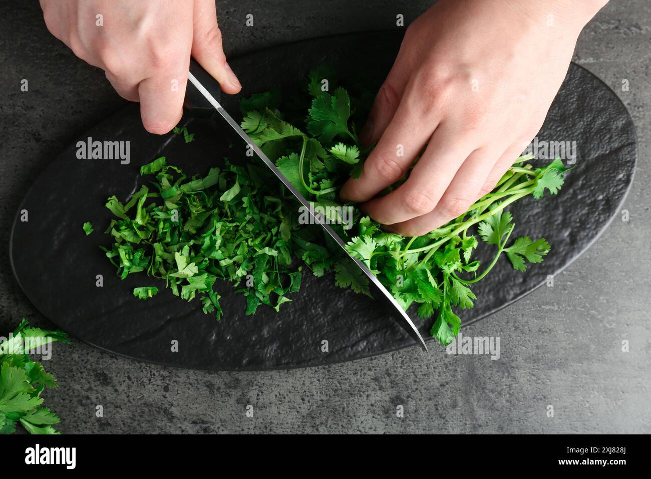 Woman cutting fresh coriander at grey textured table, top view Stock ...