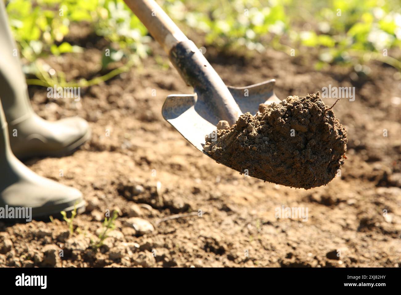 Woman digging soil on field hi-res stock photography and images - Alamy