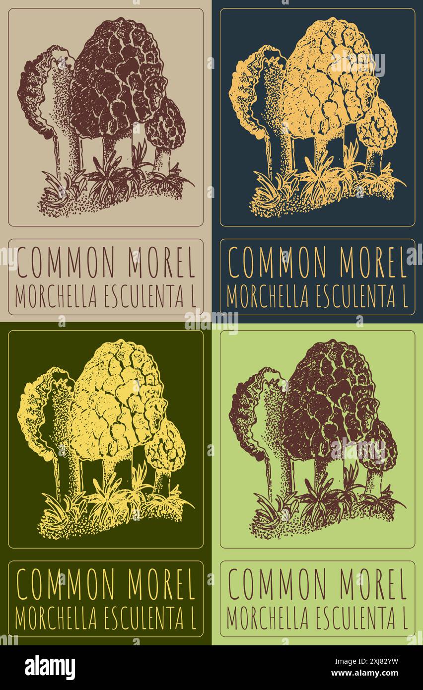 L gourmet Stock Vector Images - Alamy