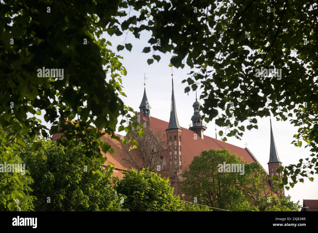 Gothic Archcathedral Basilica of the Assumption of the Blessed Virgin ...