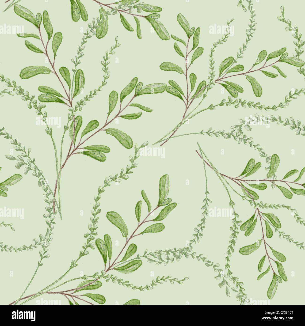 Botanical seamless pattern foliage with stems. Thin green branches with ...