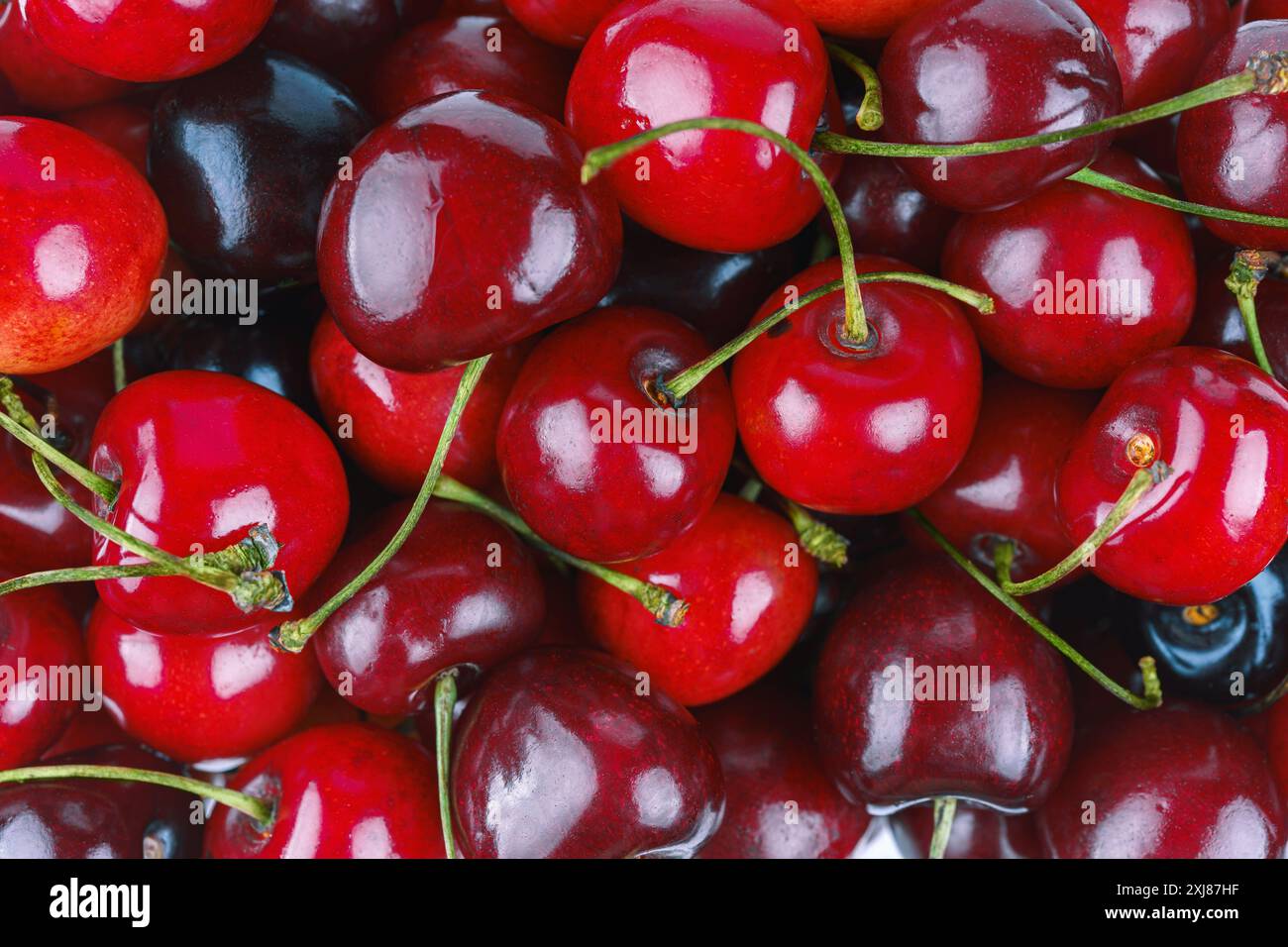 Fresh sweet cherry background. Top view of bunch of bright red organic ...