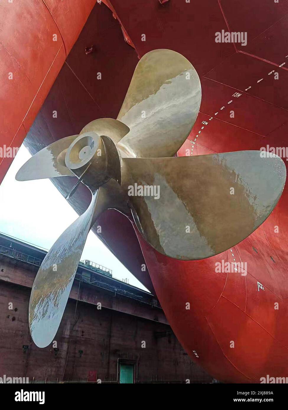 (240717) -- DALIAN, July 17, 2024 (Xinhua) -- This photo taken on Nov ...