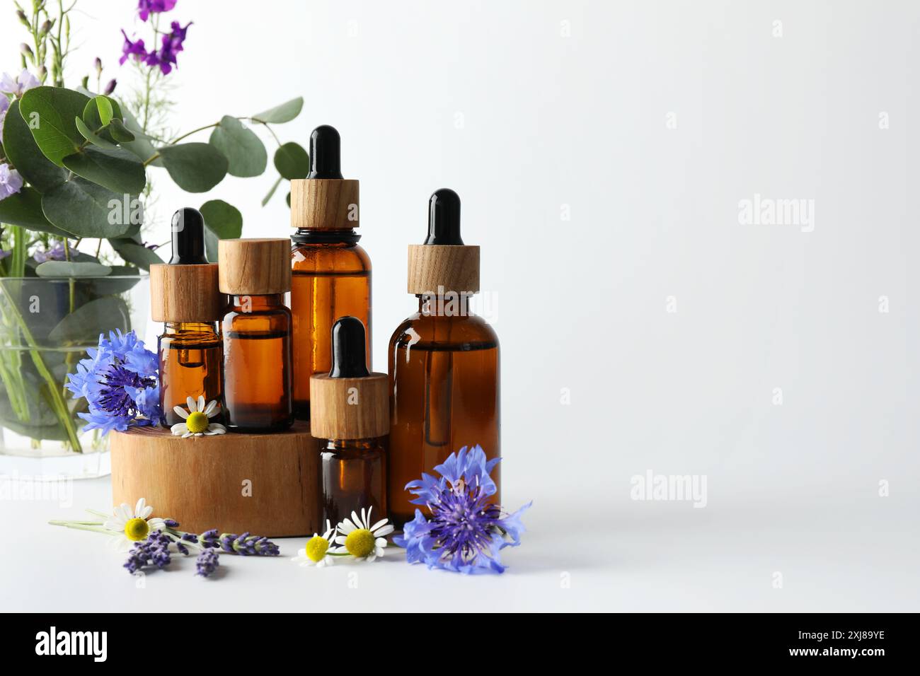 Aromatherapy. Different essential oils, eucalyptus leaves and flowers ...