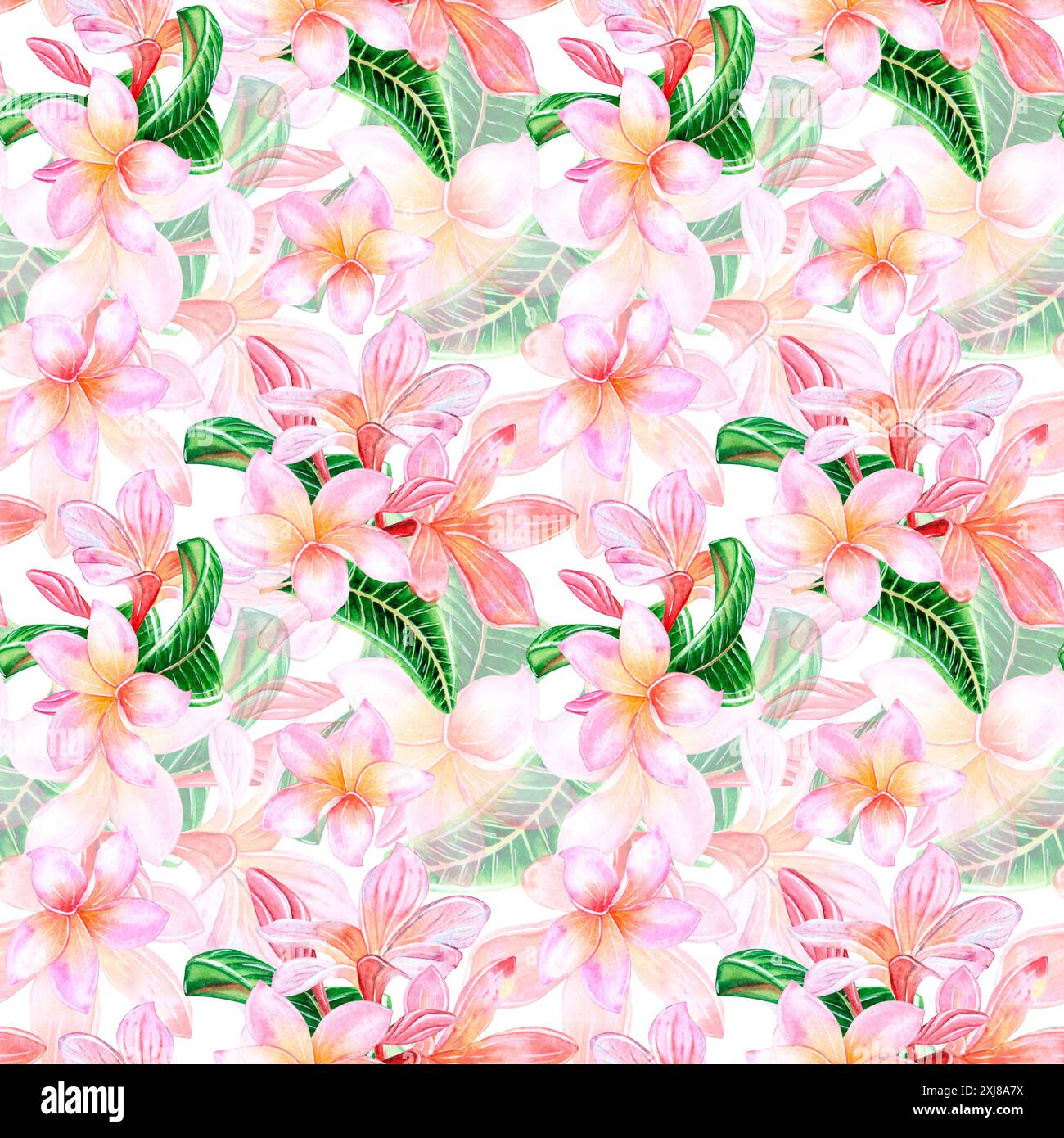 Tropical flowers pink plumeria with leaves. Watercolor illustration ...