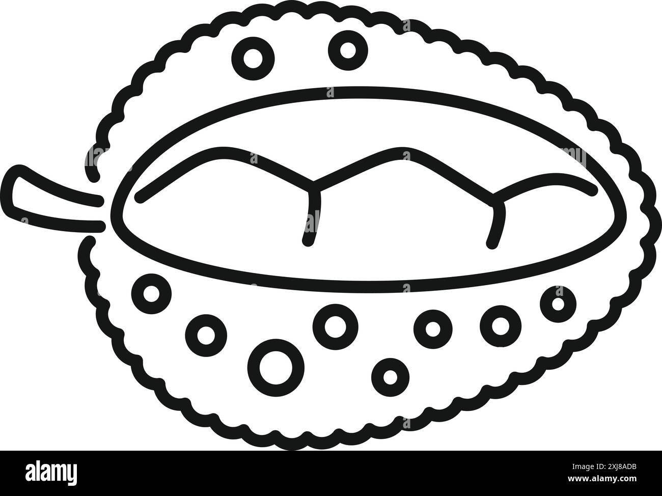 Line drawing of a half open durian fruit, showing the segments inside ...
