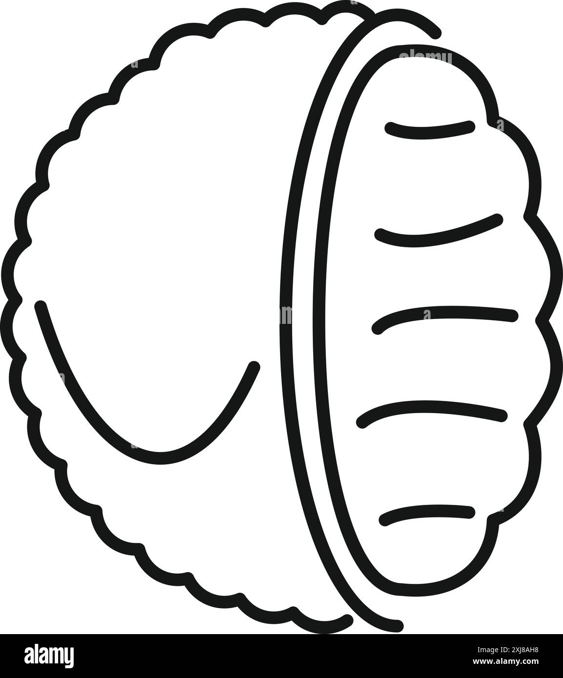 Line drawing of a macadamia nut cracked open to reveal the nut inside ...