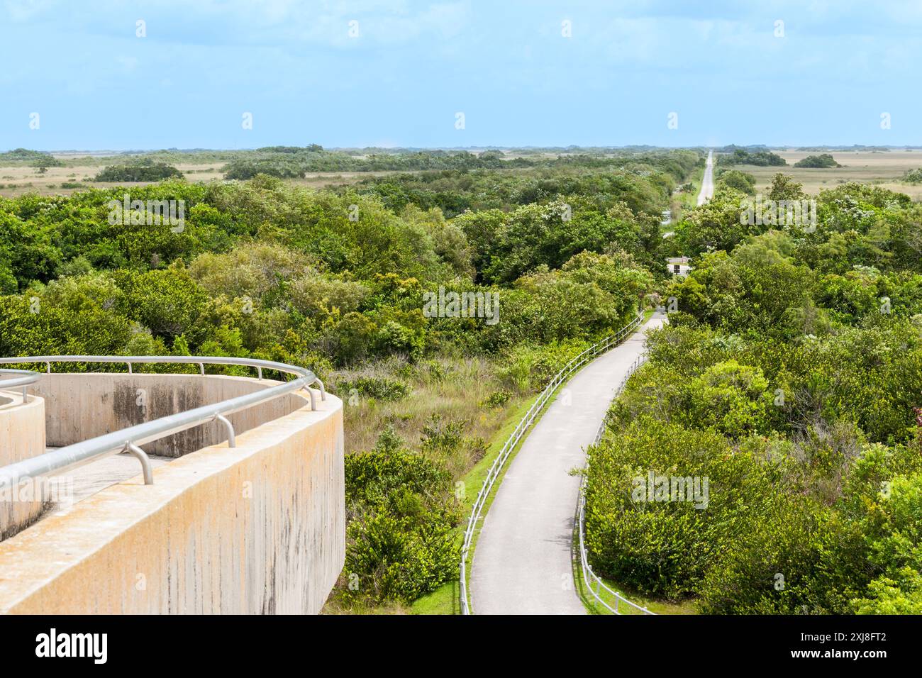 Everglades national park lookout tower hi-res stock photography and ...