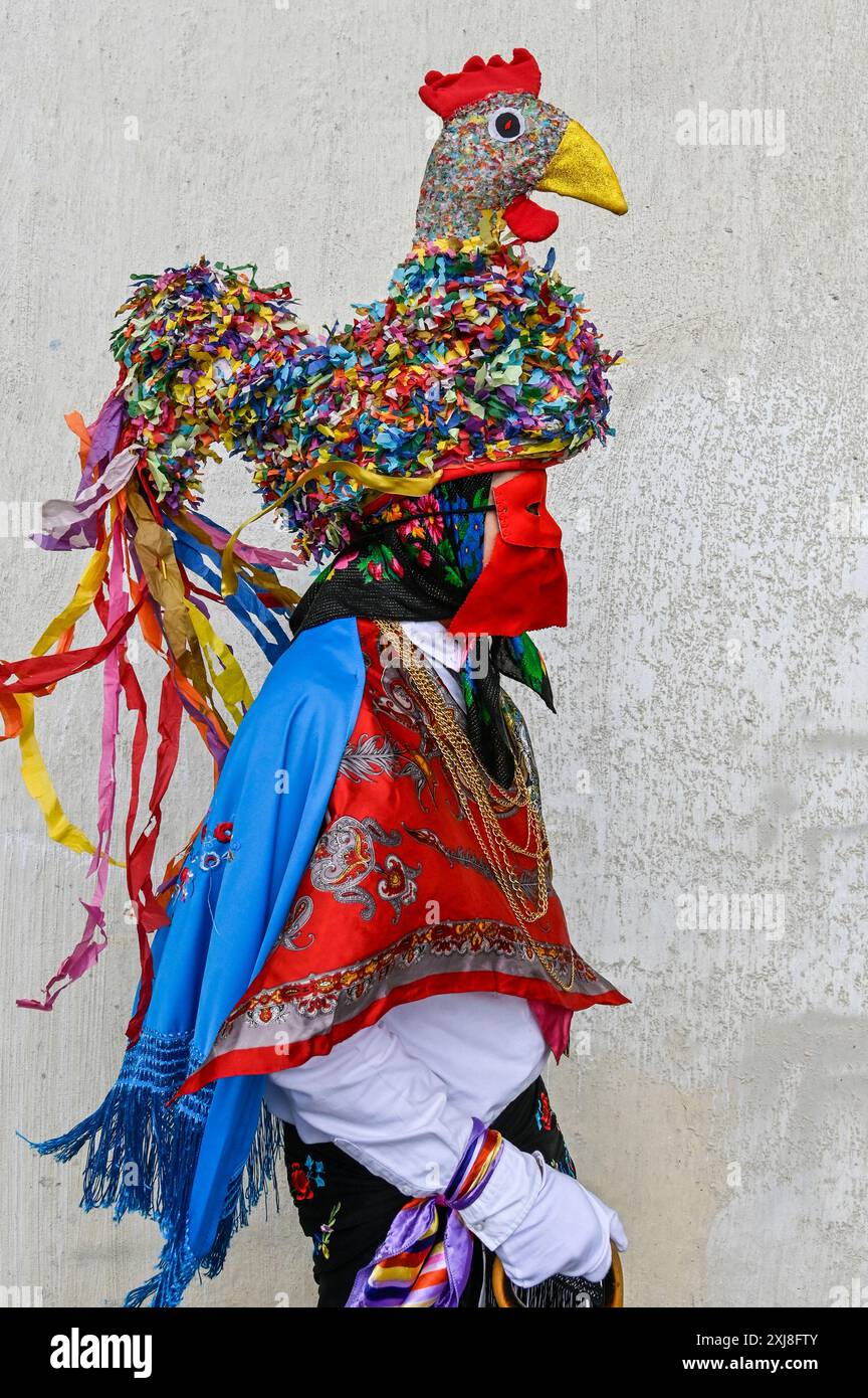 The Galo de San Pedro da Mezquita in A Merca, Galicia, is a traditional ...