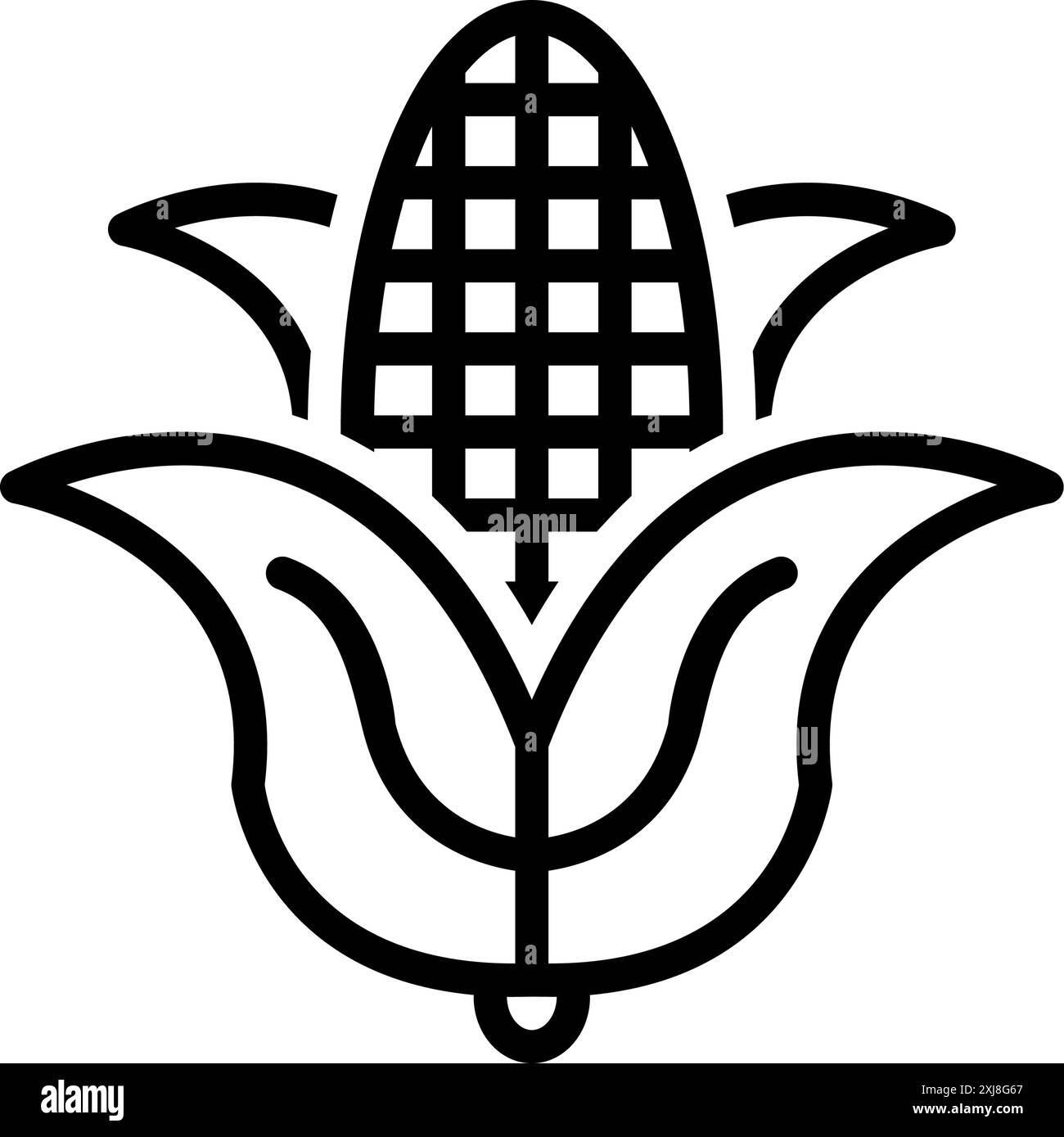 Icon for corn,maize Stock Vector Image & Art - Alamy