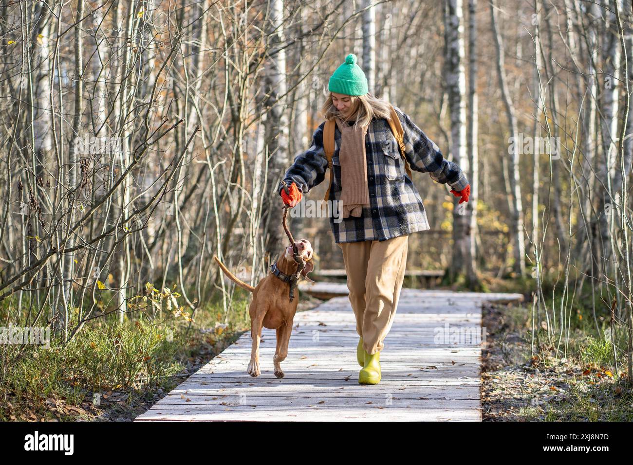 Positive woman walking vizsla dog spends happy weekend in woods eco ...