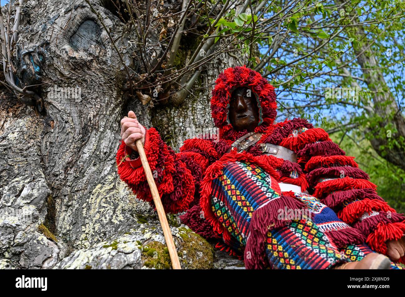 The Caretos de Arcas, celebrated in the village of Arcas in Portugal ...