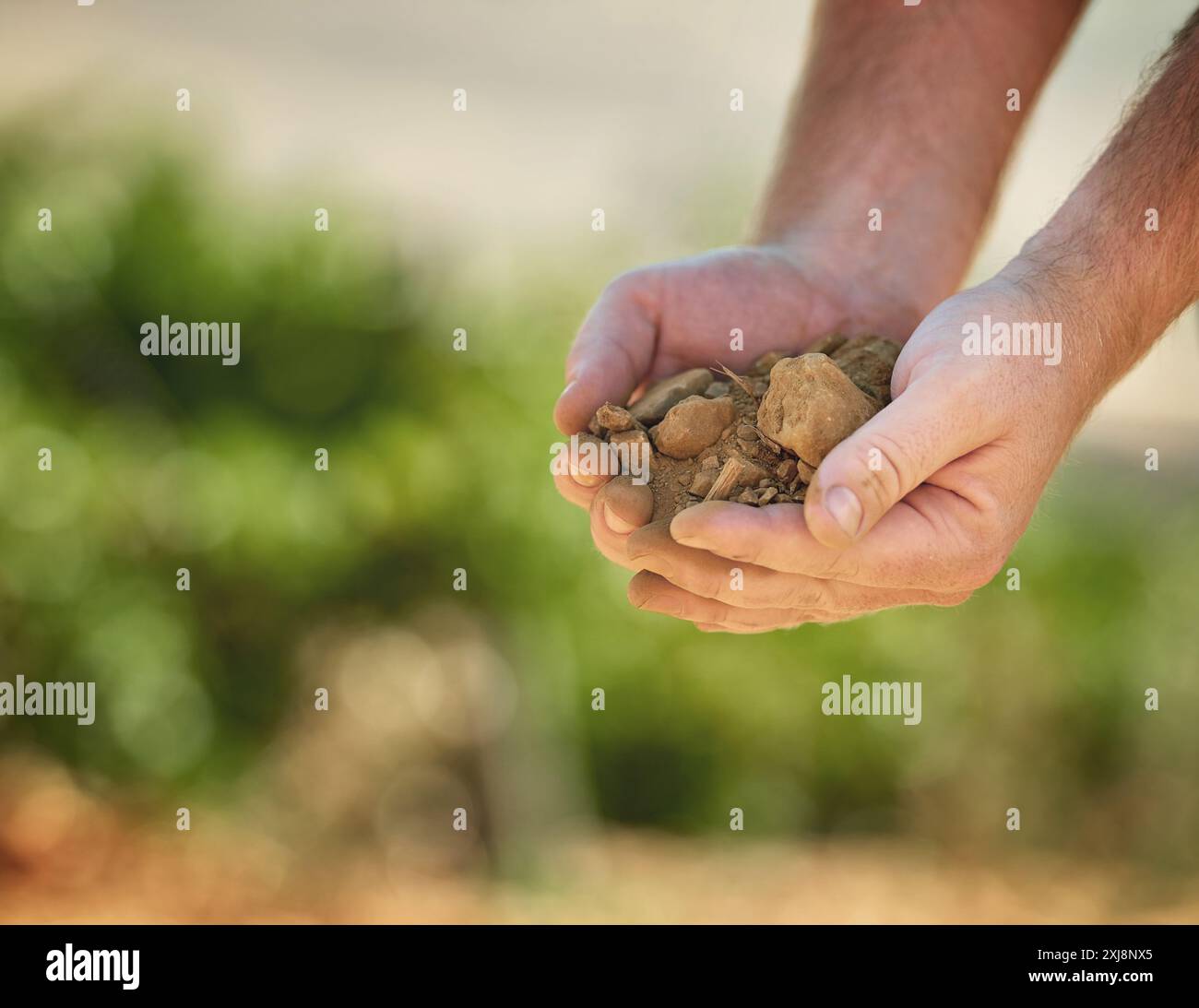 Nature, agriculture and hands with soil for farming and planting crops ...