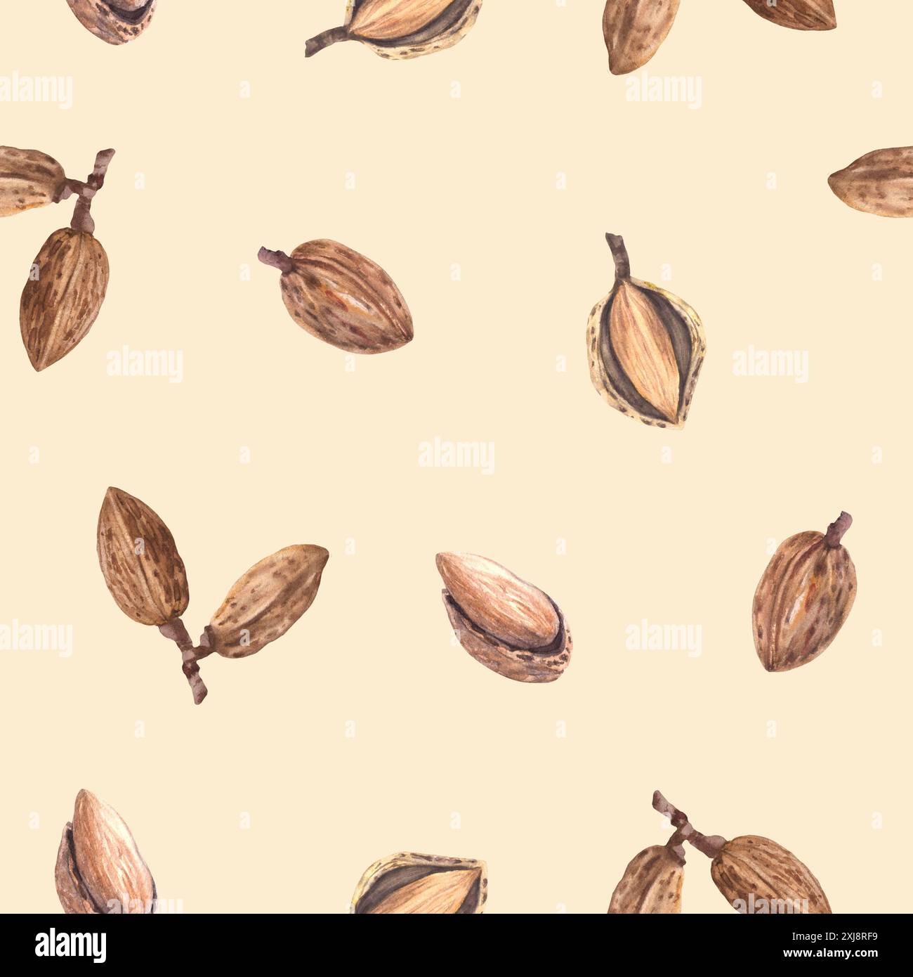 Almonds nut in nutshell Watercolor seamless pattern. Hand painted ...
