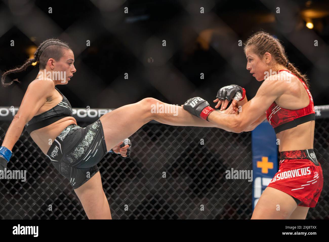 UFC Women's Flyweight Jasmine Jasudavicius and Fatima Kline fighting ...