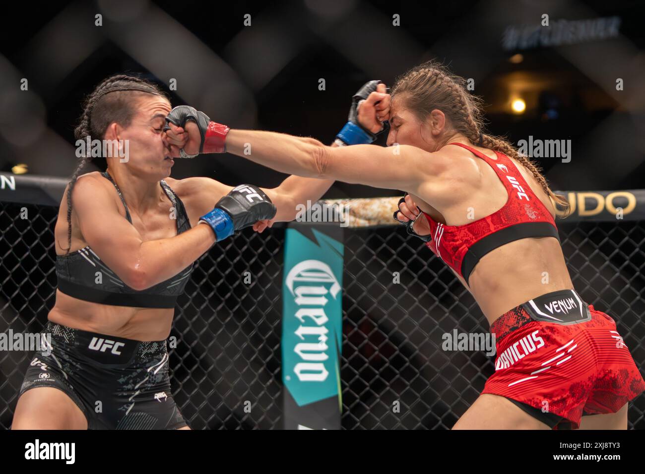 UFC Women's Flyweight Jasmine Jasudavicius and Fatima Kline fighting ...